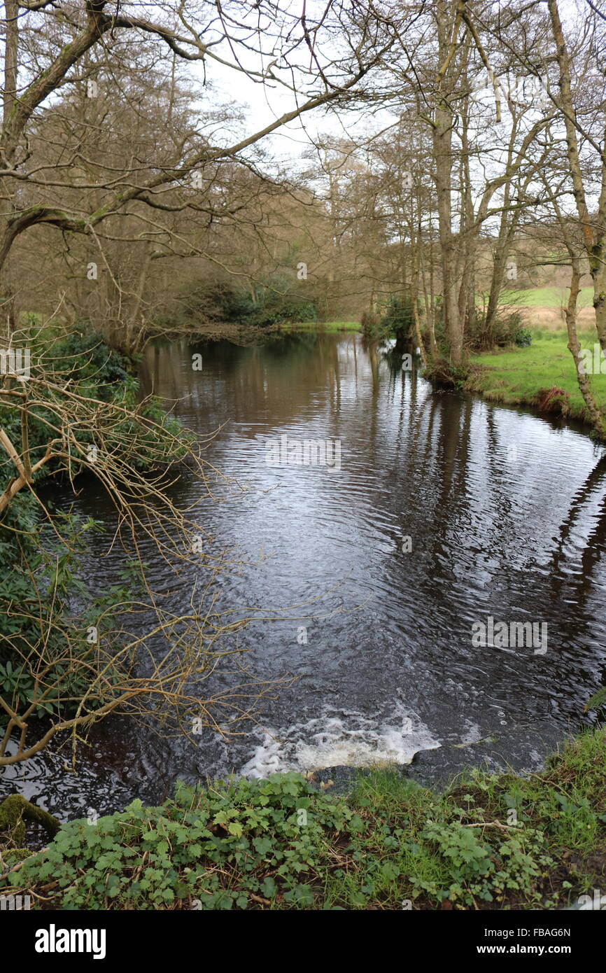 Tillingbourne, surrey hi-res stock photography and images - Alamy
