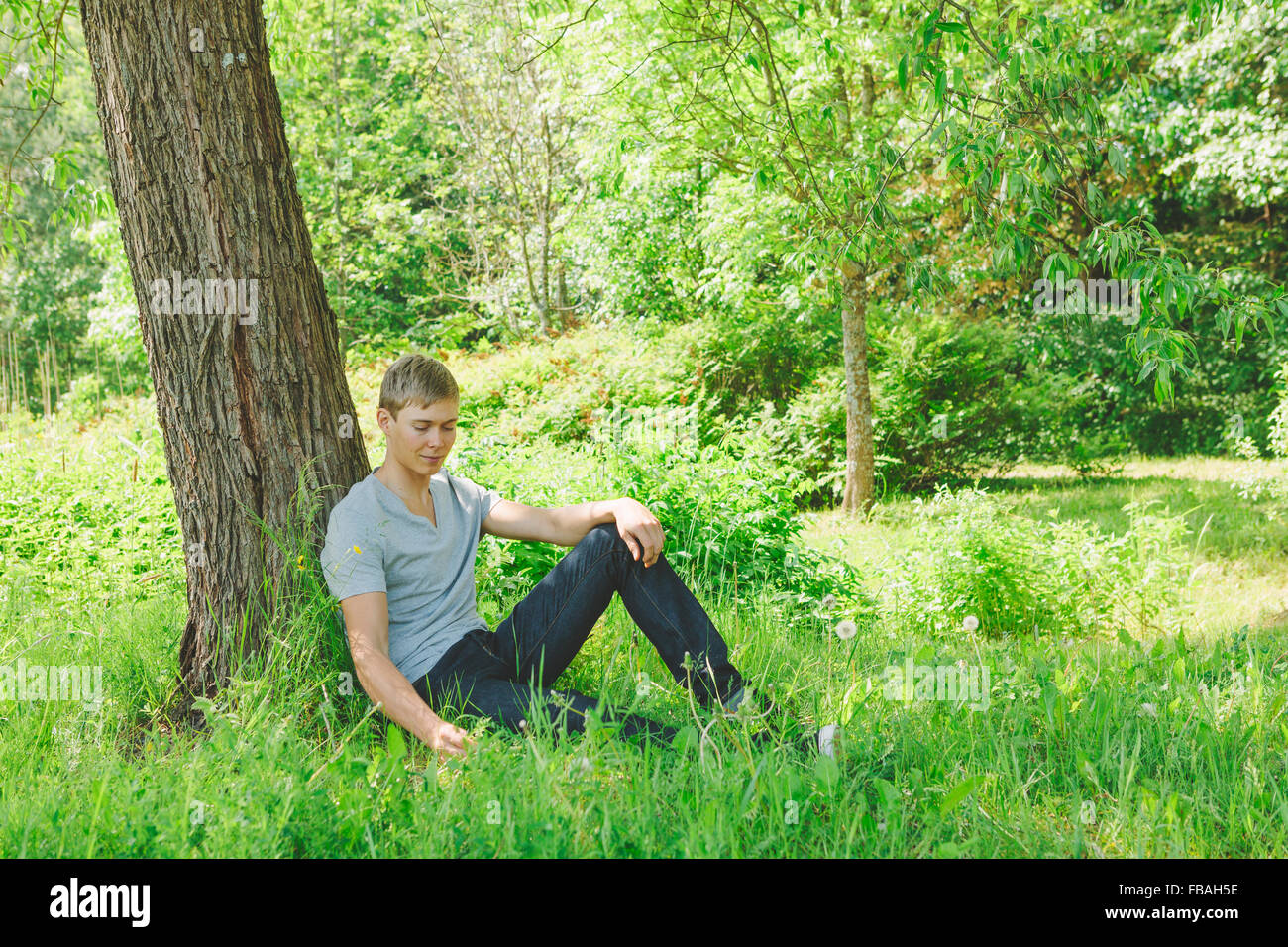 Finland, Helsinki, Aggelby, Young man sitting in grass under tree Stock ... Finland, Helsinki, Aggelby, Young man sitting in grass under tree Stock ...