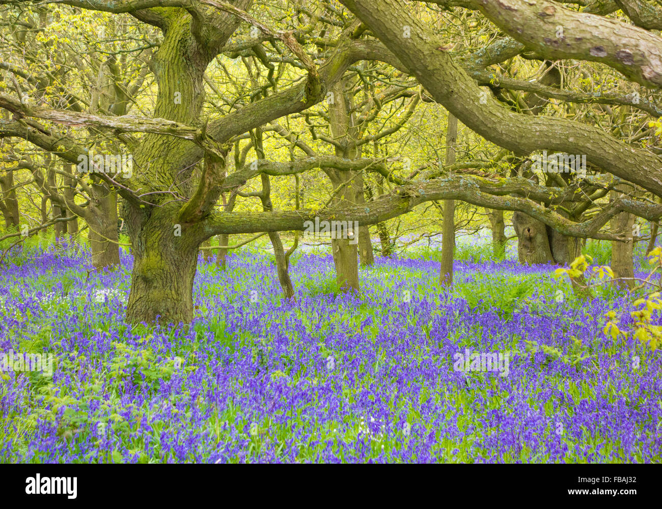Uk National Parks High Resolution Stock Photography and Images - Alamy