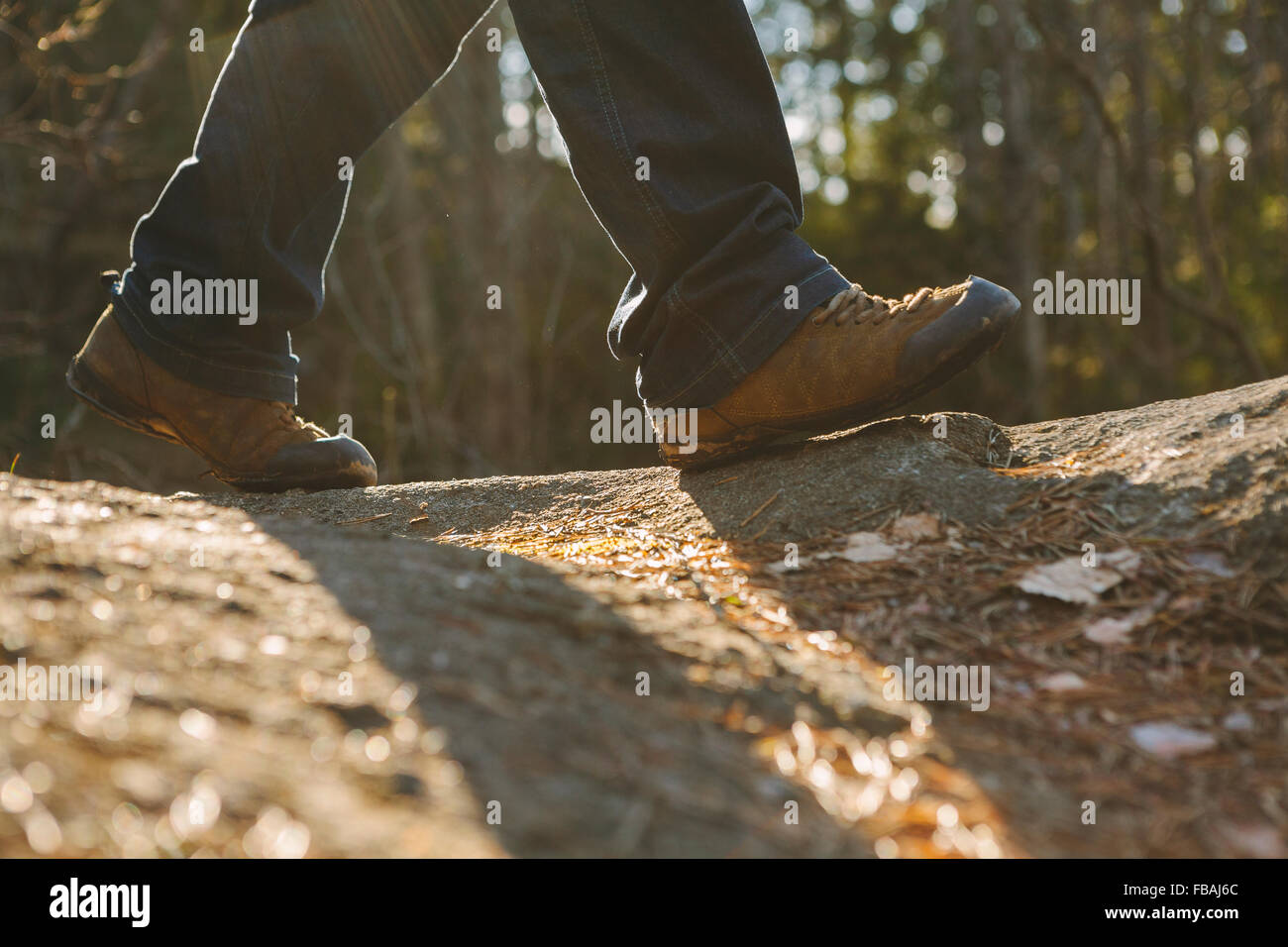 Man walking into forest hi-res stock photography and images - Alamy