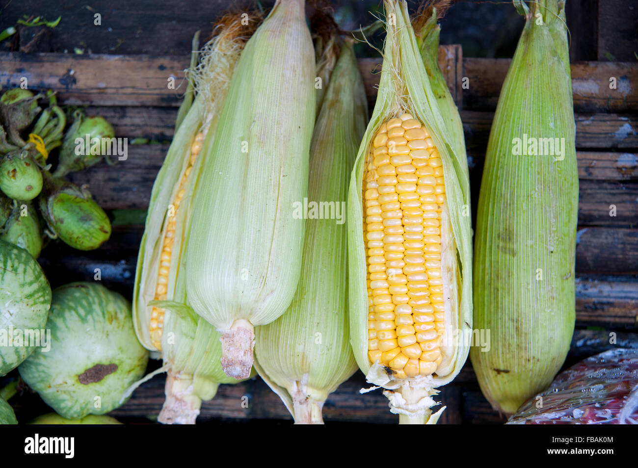 Detail of fresh corn on the cob at a street market Rangoon Myanmar ...