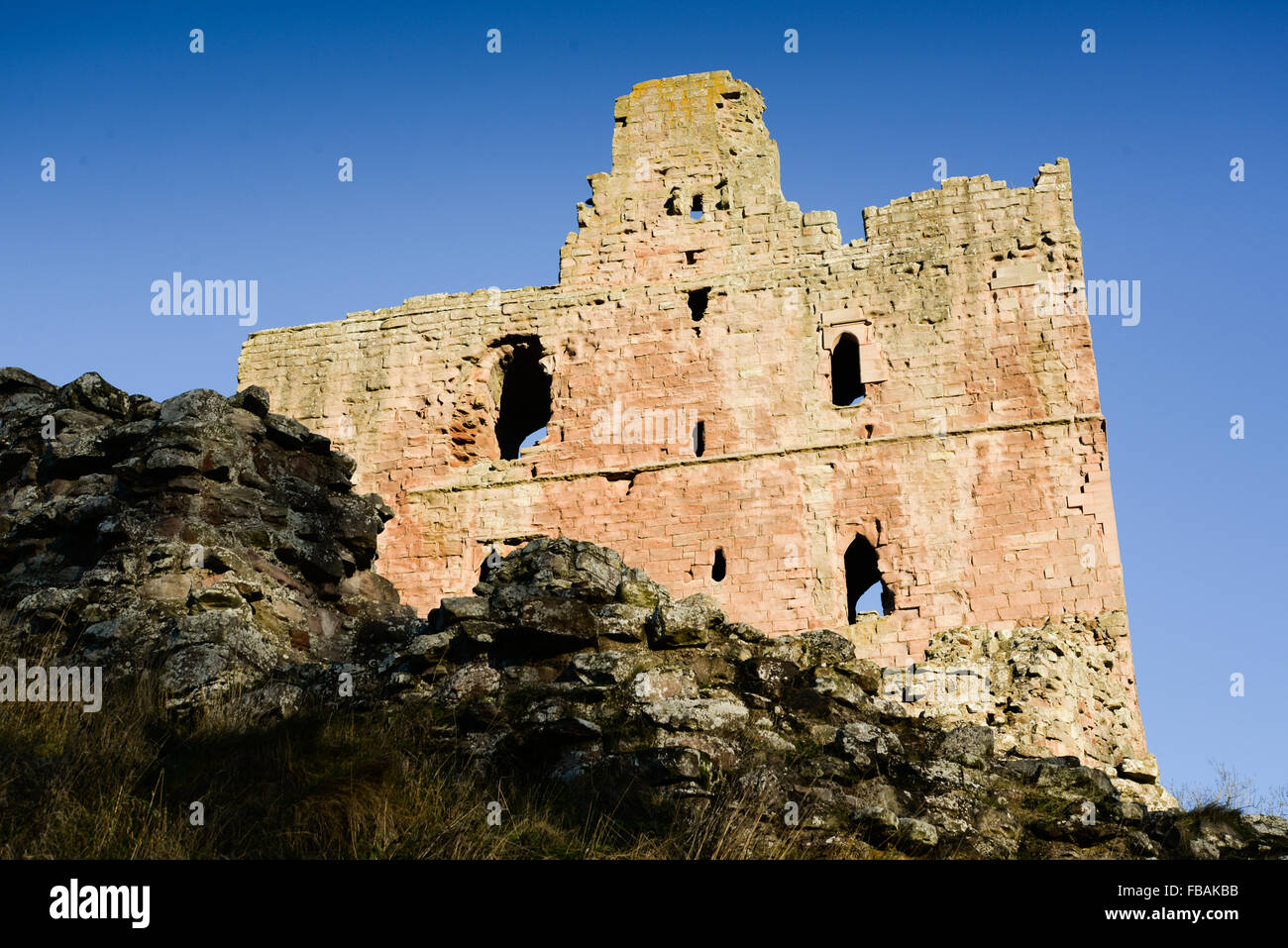 View of the keep of Norham Castle once the most dangerous place in ...