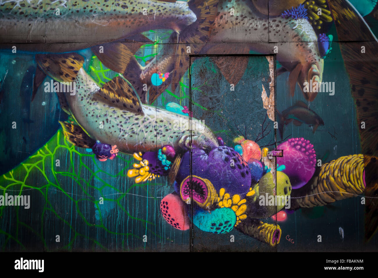 Colorful street art in the streets of Seattle, Washington State Stock ...