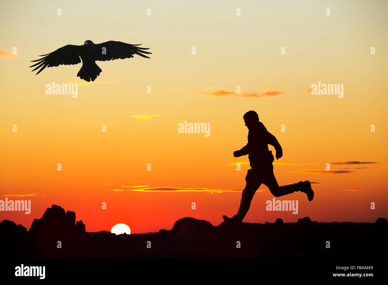 Man and raven hi-res stock photography and images - Alamy