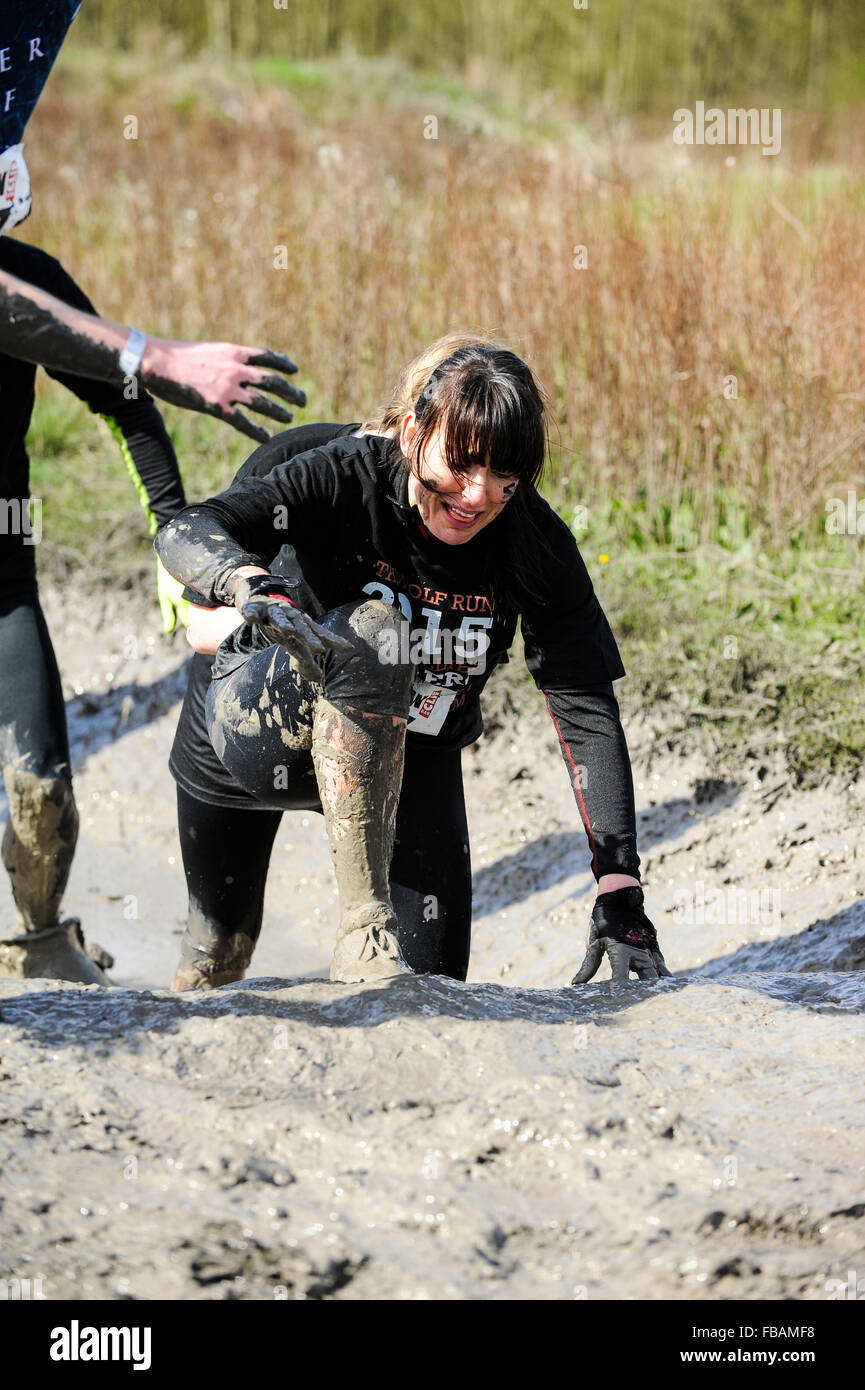 Female runner stuck in mud at obstacle course race, UK Stock Photo - Alamy