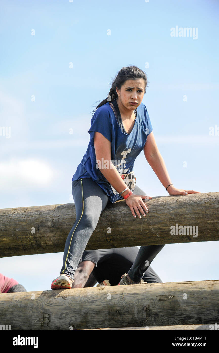 Runners at obstacle course race, UK Stock Photo - Alamy
