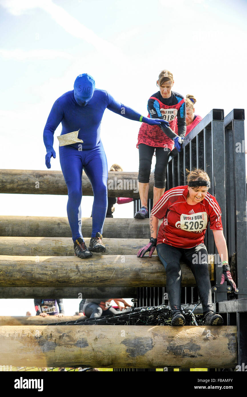 Runners at obstacle course race, UK Stock Photo - Alamy
