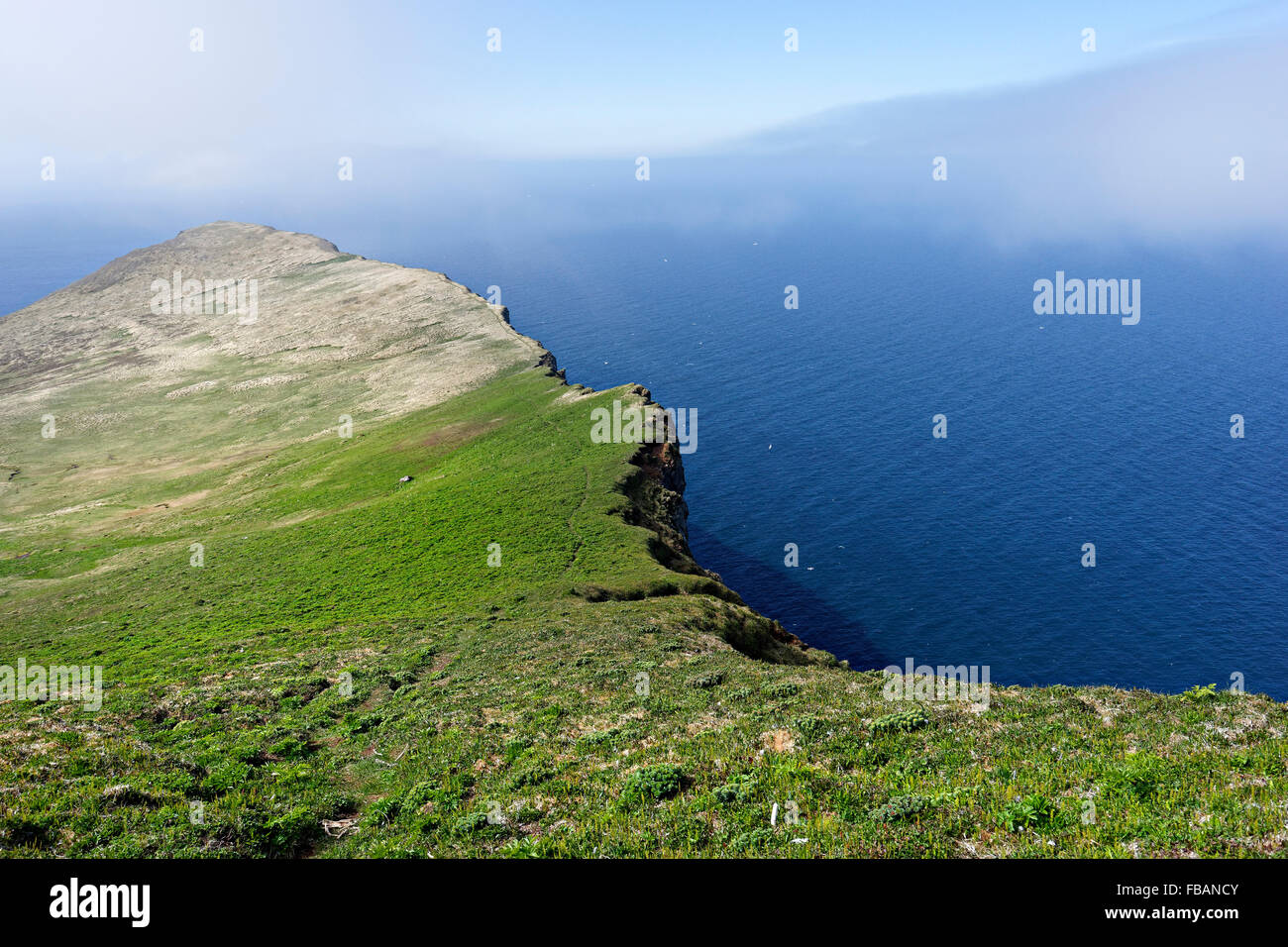 Hornstrandir hi-res stock photography and images - Alamy