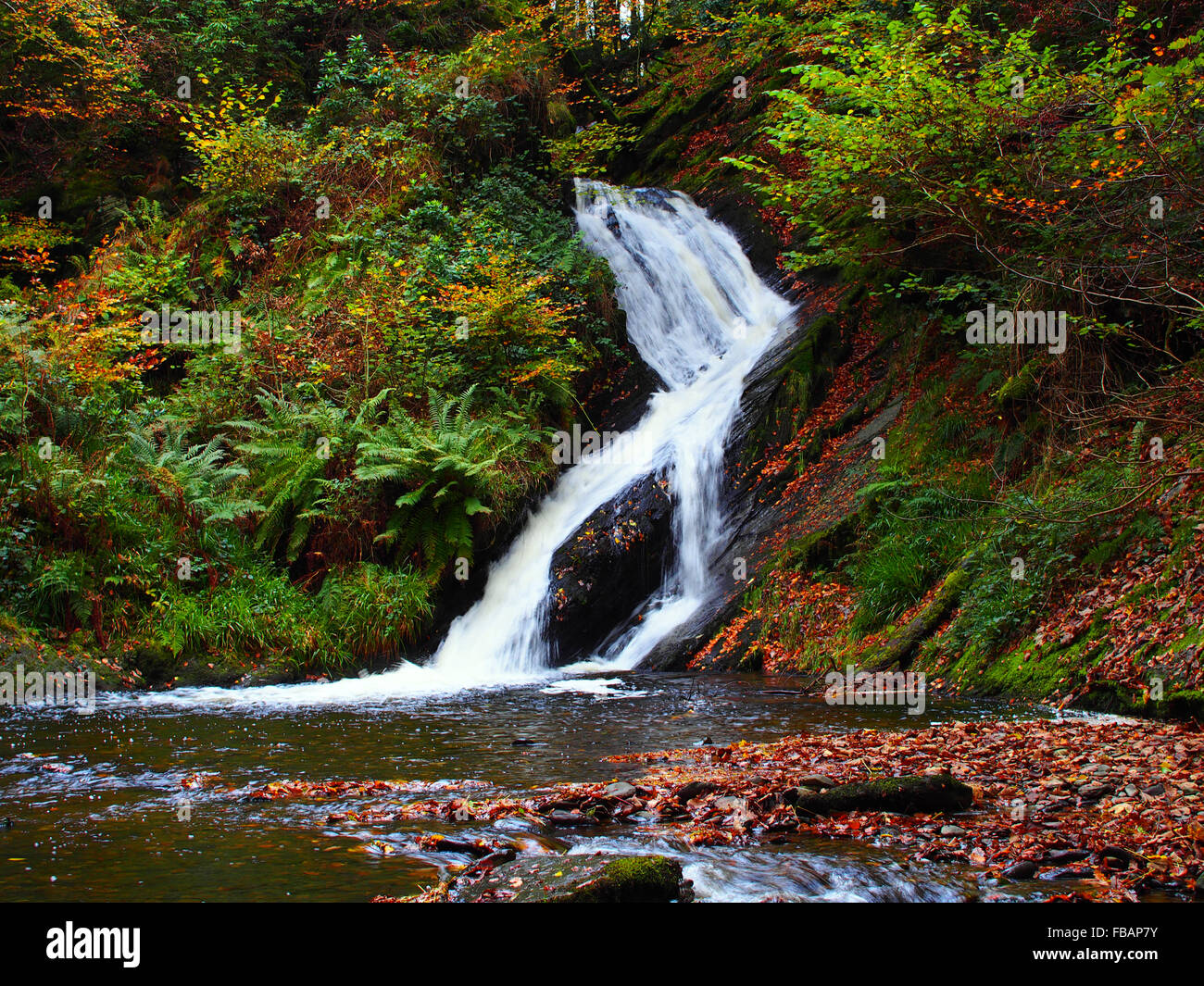 Rhaedr Peiran, Hafod Estate Stock Photo - Alamy