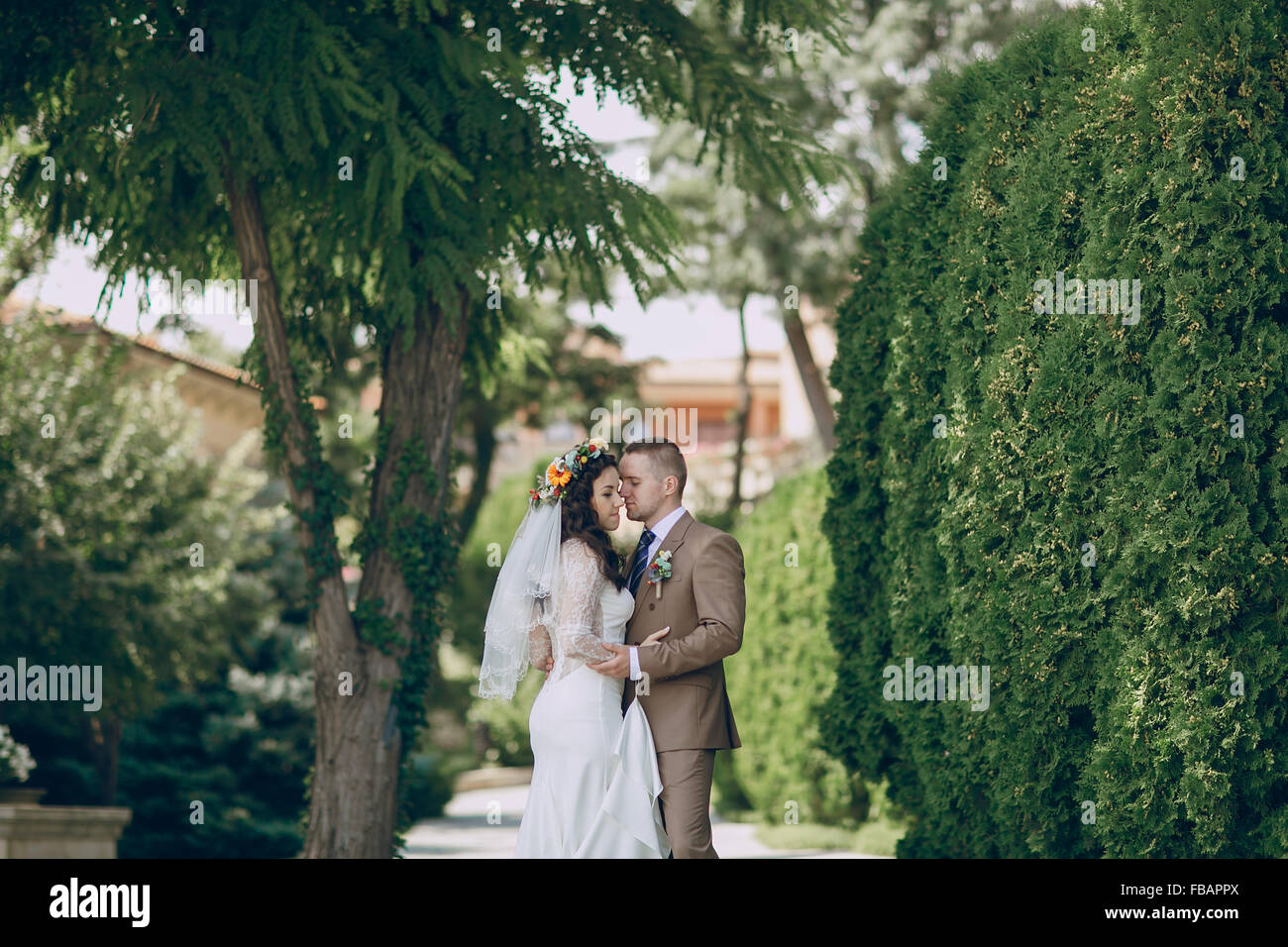 sunny wedding day Stock Photo - Alamy