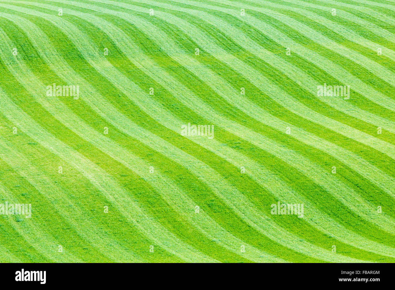 Field crop pattern hi-res stock photography and images - Alamy