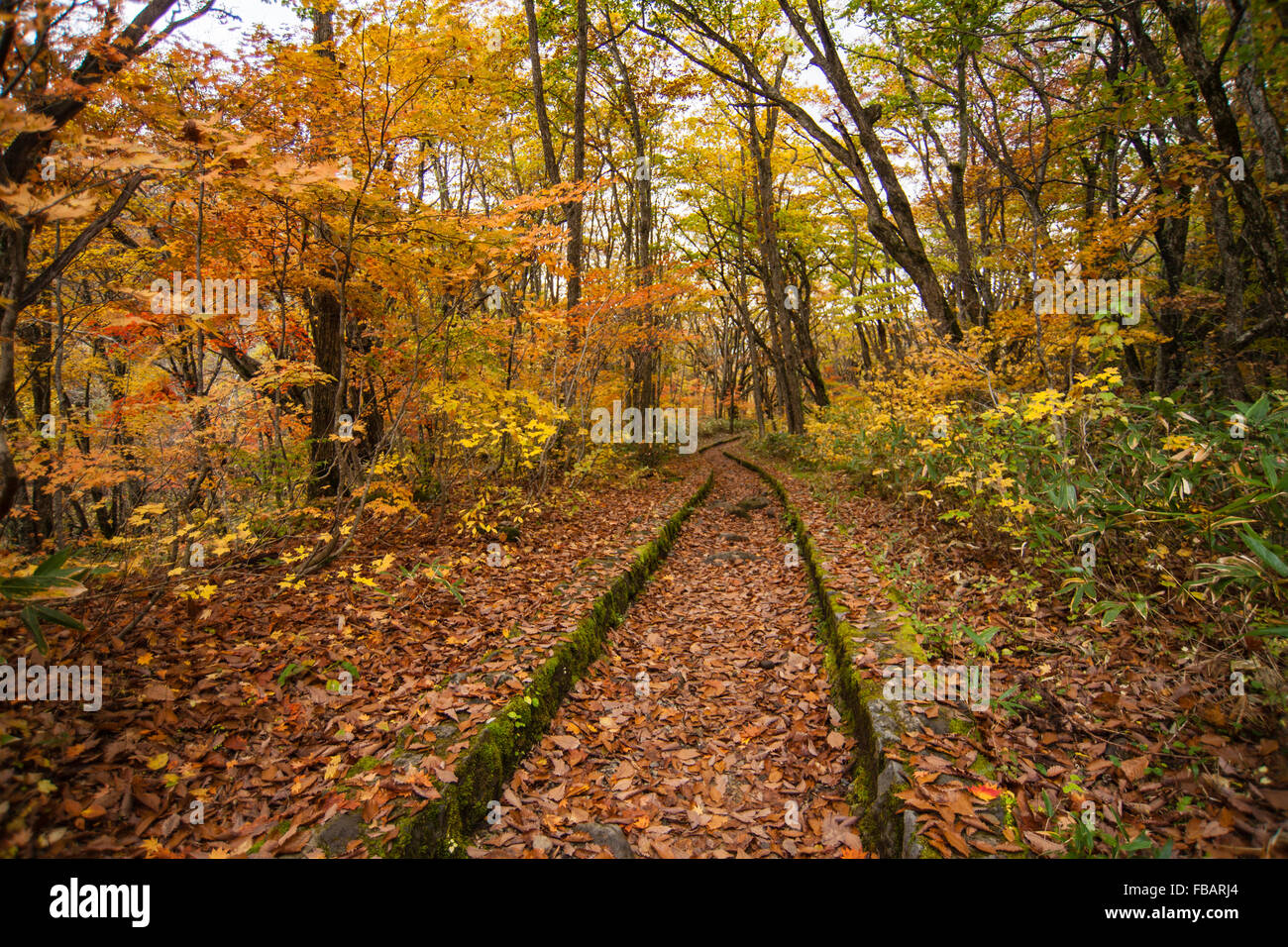 Urabandai hi-res stock photography and images - Alamy