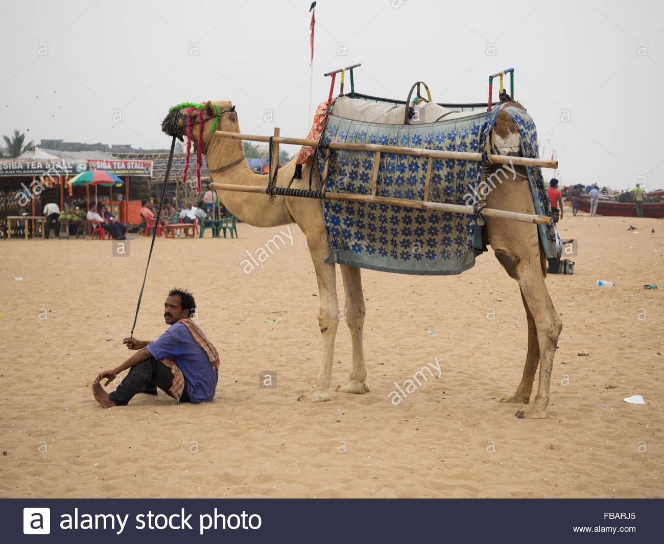 Man Riding Camel Stock Photos & Man Riding Camel Stock Images - Alamy