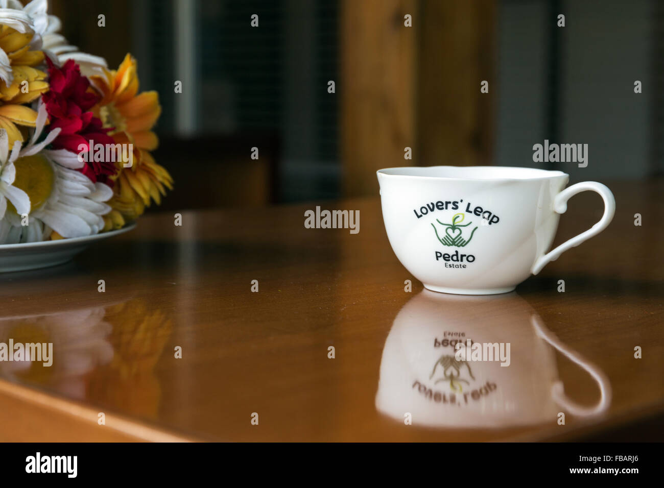 Nuwara Eliya Pedro Tea Estate tea factory, Sri Lanka, Asia Stock Photo ...