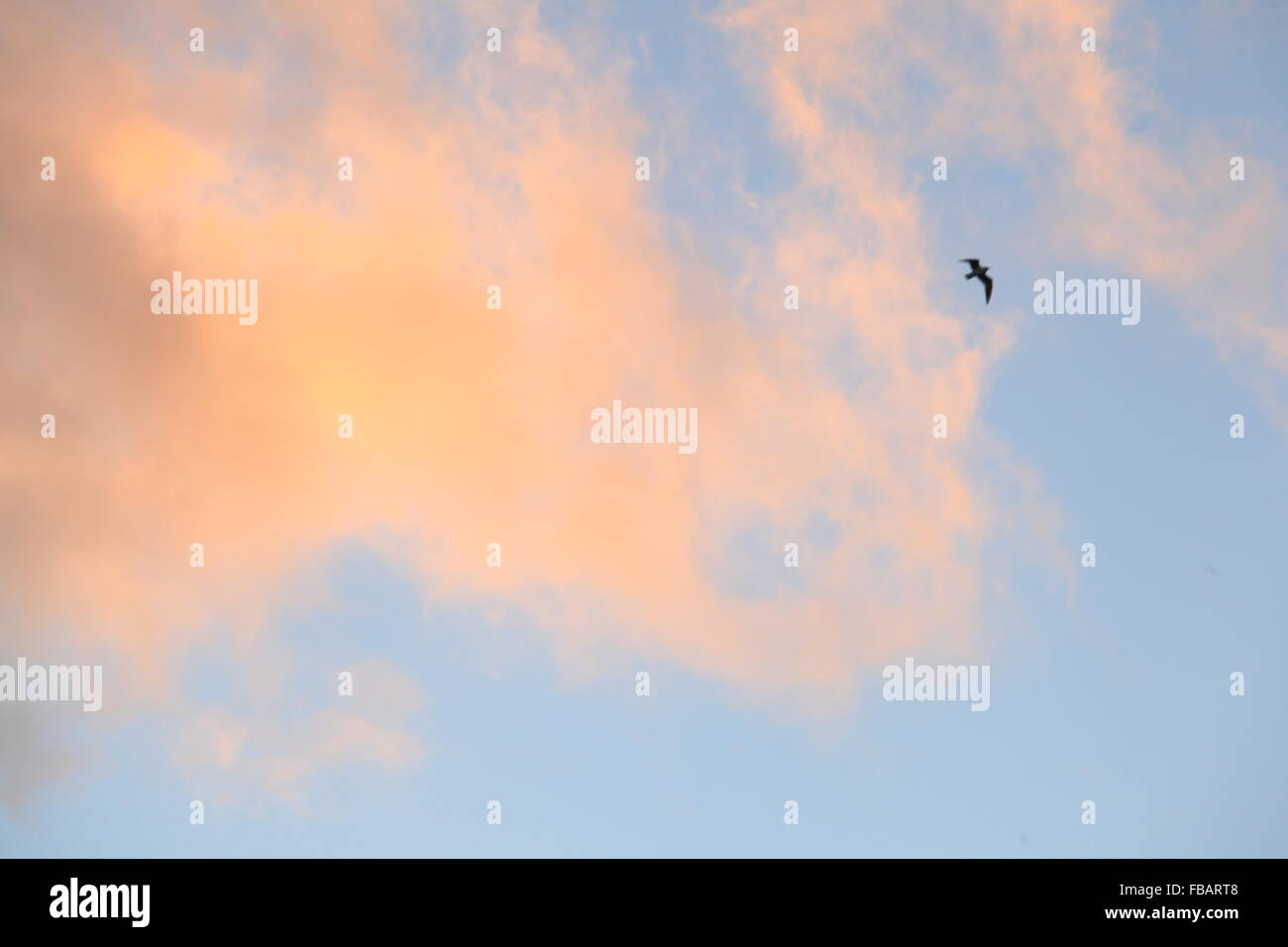 Dusk and cloud hi-res stock photography and images - Alamy