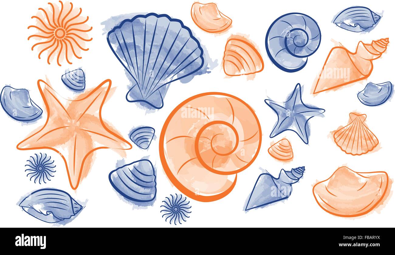 Seashell summer draw, icon created with illustrator watercolor brush ...