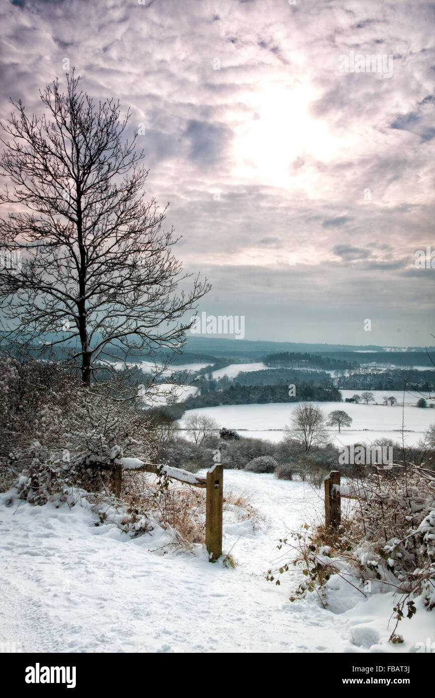 Surrey downs hi-res stock photography and images - Alamy