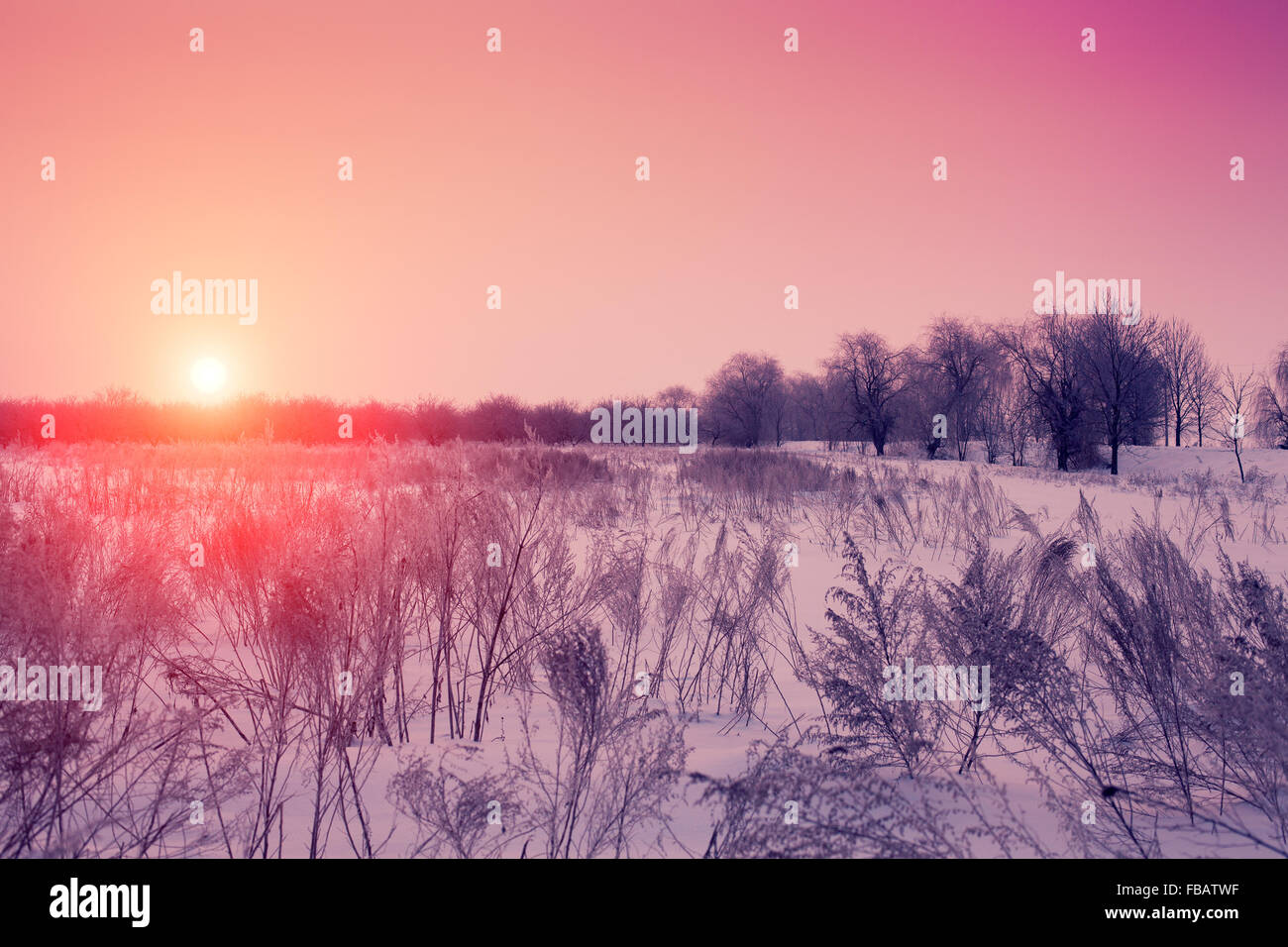 Pink misty sunset winter hi-res stock photography and images - Alamy