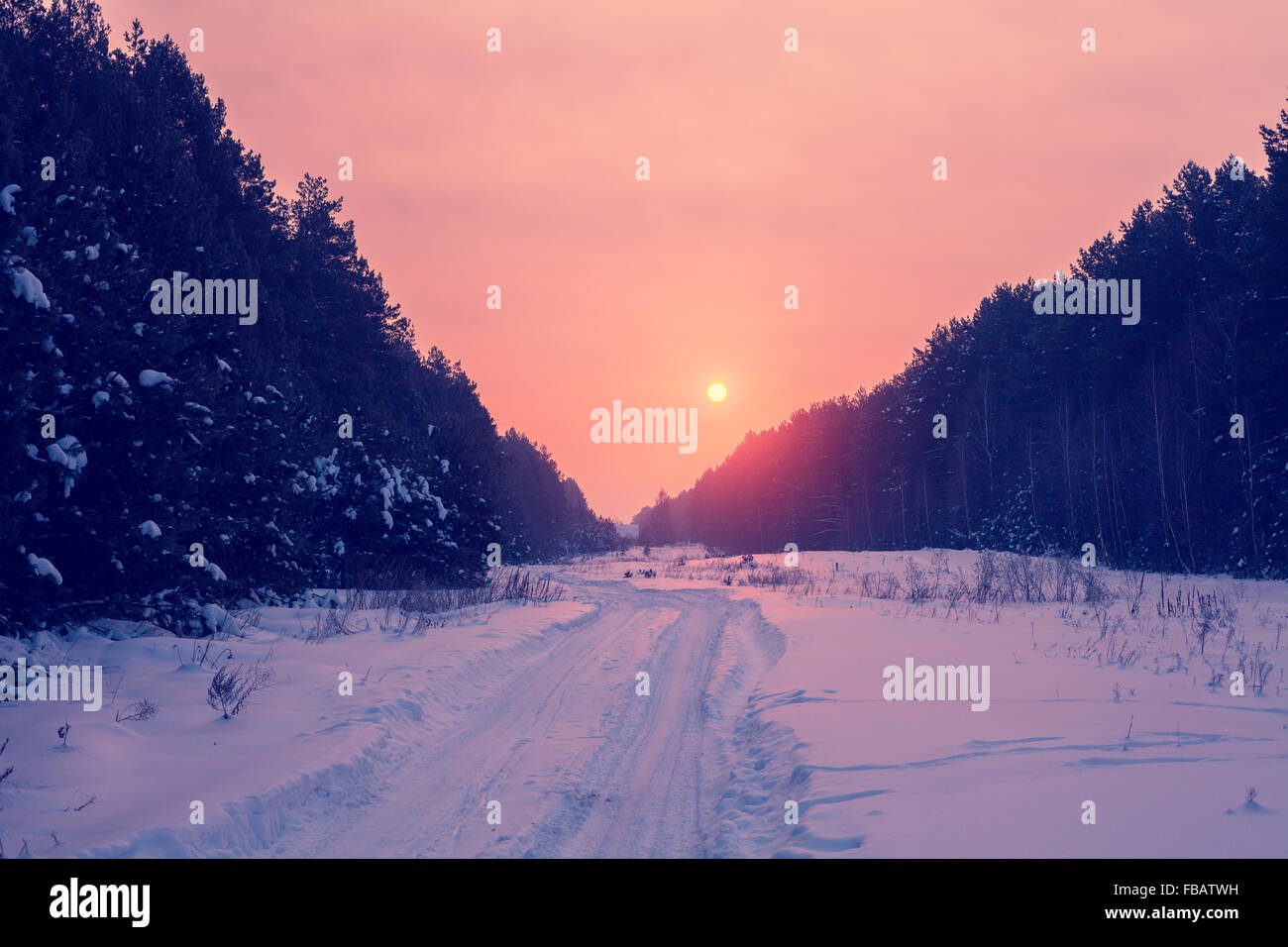 Sunrise over snowy road in the forest Stock Photo - Alamy
