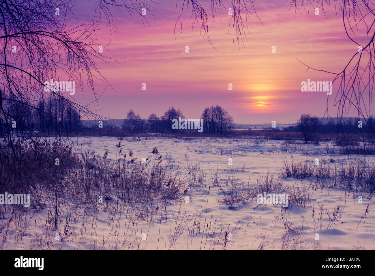 Beautiful winter pink sunset over snowy field Stock Photo - Alamy