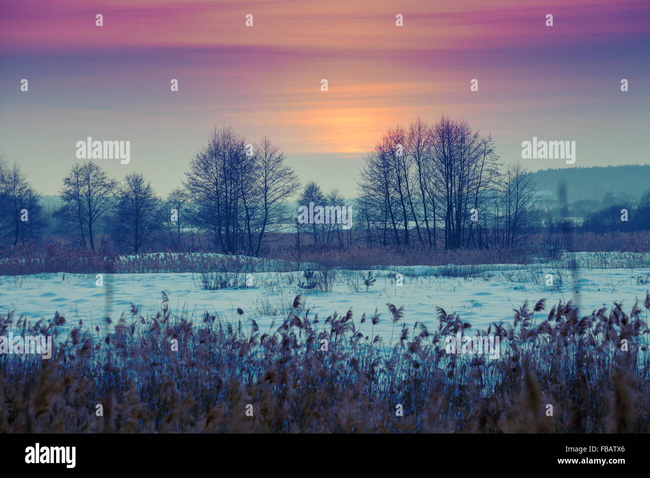 Beautiful winter sunset over snowy field Stock Photo - Alamy