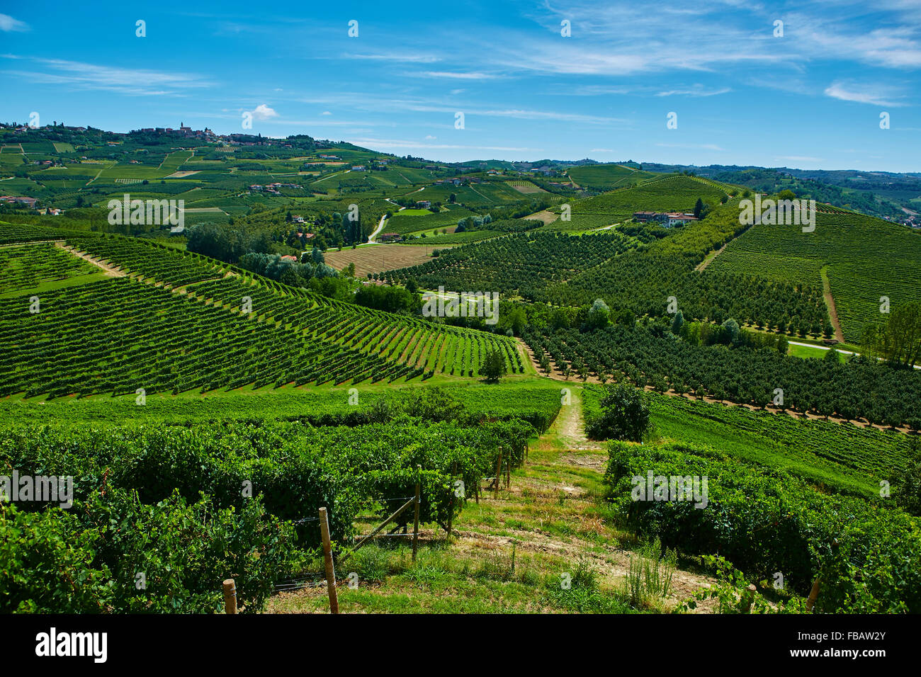 Chianti vineyard landscape Stock Photo - Alamy