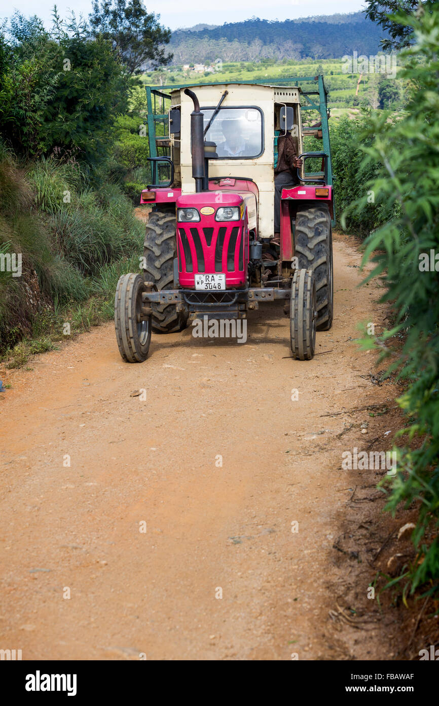 tractor on the road in district Nuwara Eliya, Sri Lanka, Asia Stock ...