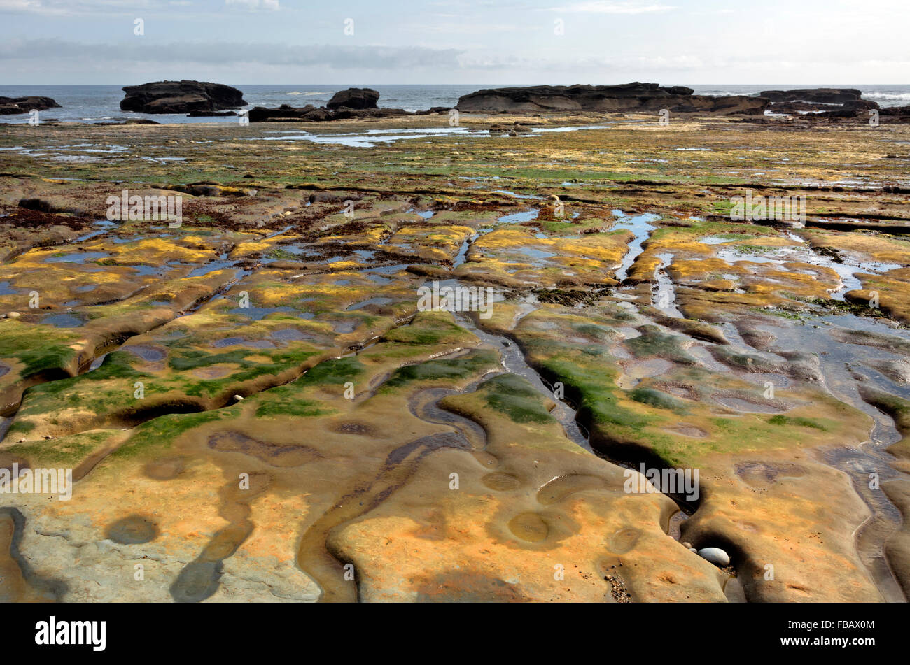 North west shelf hi-res stock photography and images - Alamy