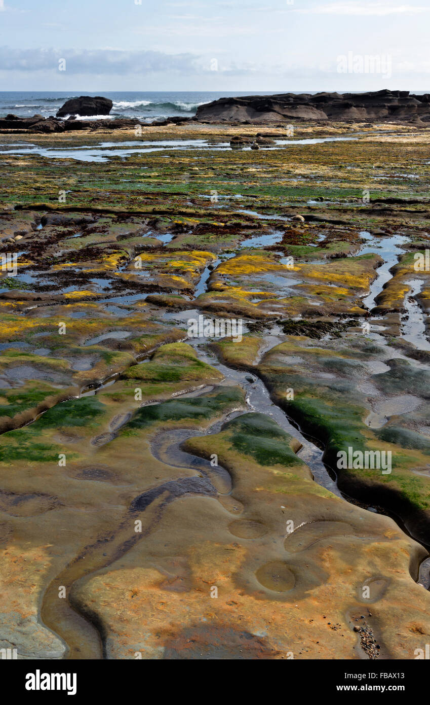 North west shelf hi-res stock photography and images - Alamy