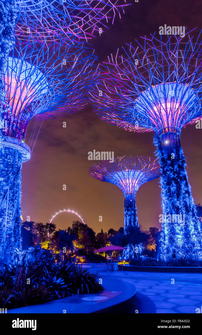 Night View of Supertree Grove Stock Photo - Alamy