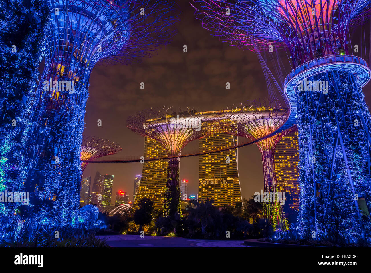 Night View of Supertree Grove Stock Photo - Alamy