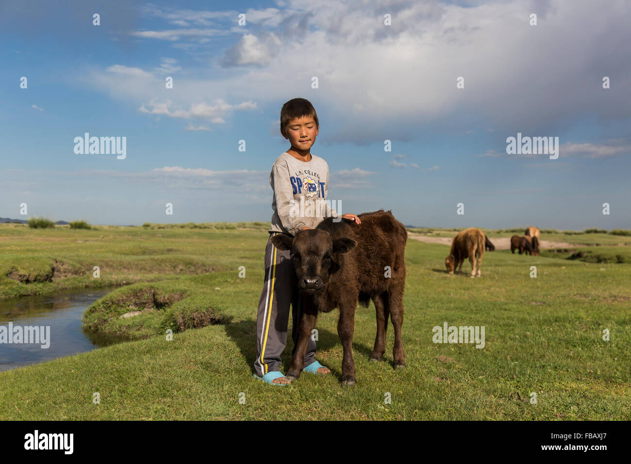 A young Mongolian boy petting a calf Stock Photo - Alamy
