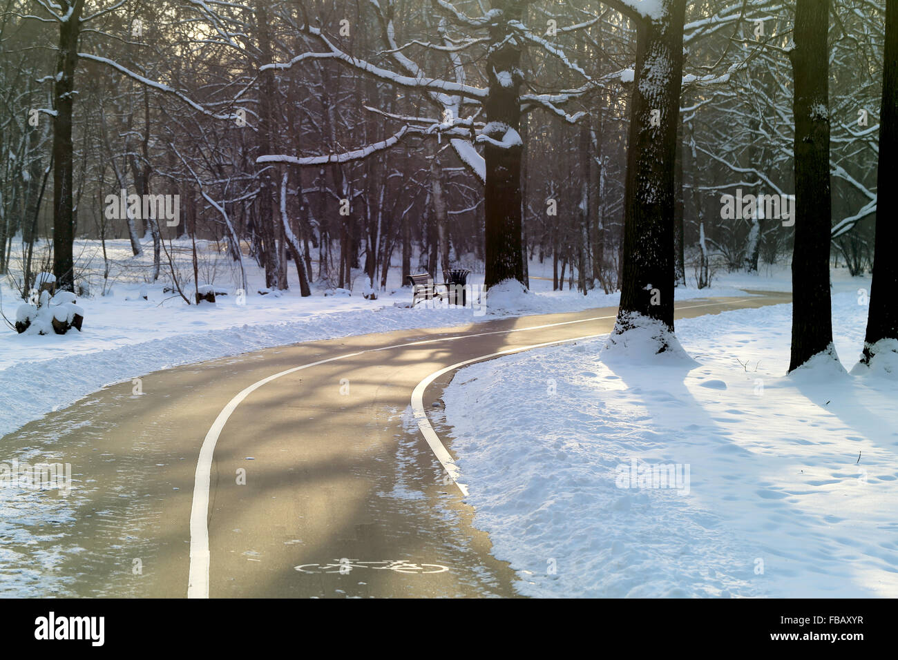 Beautiful winter forest c snowy road in Russia Stock Photo - Alamy