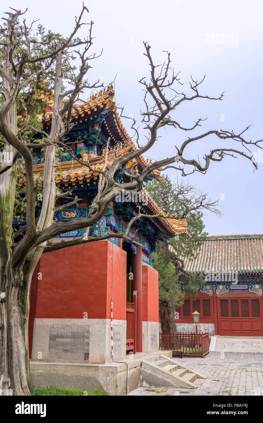 Guozijian Imperial College High Resolution Stock Photography and Images ...