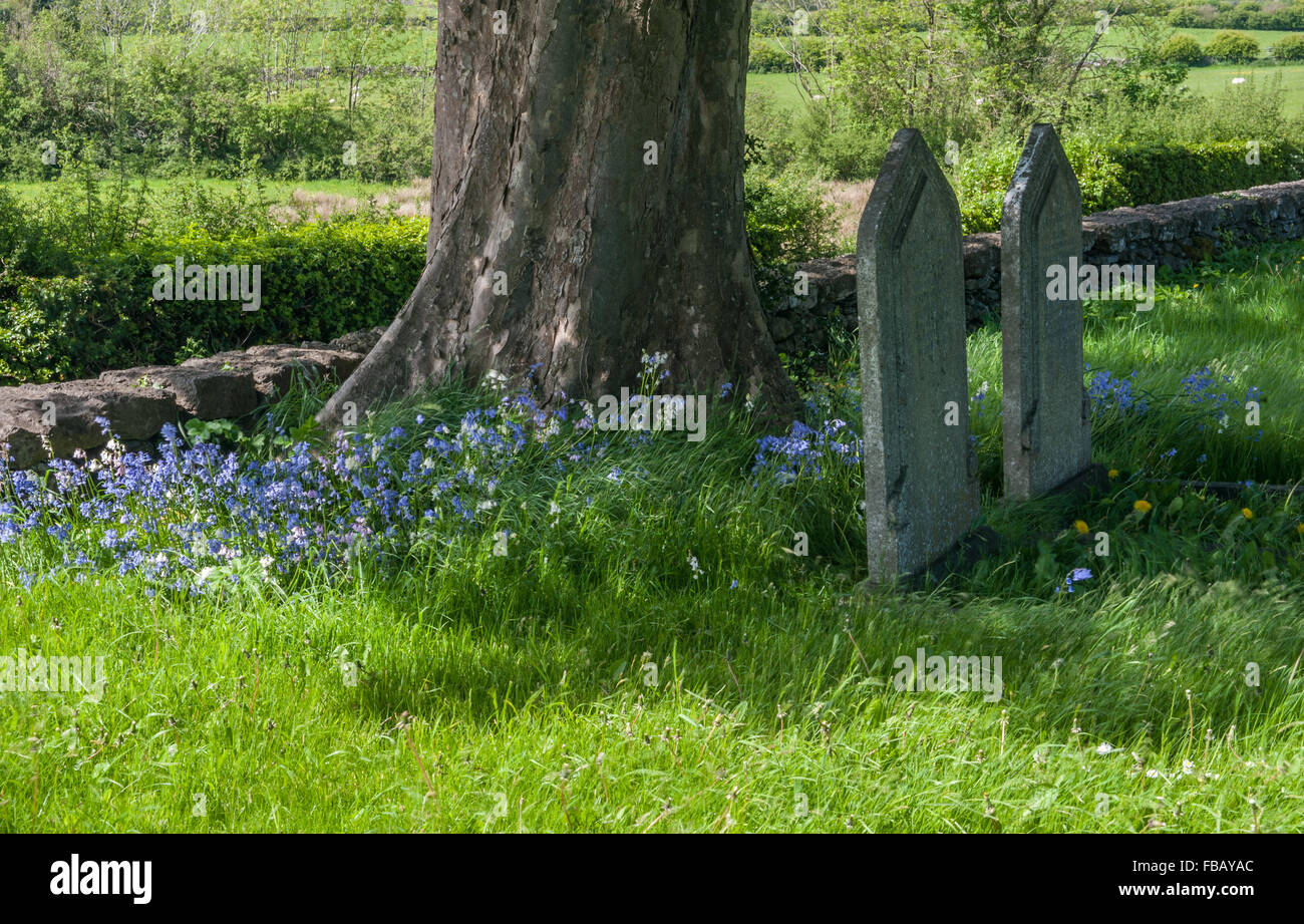 The Graveyard at St.Peter's Church Field Broughton Stock Photo - Alamy