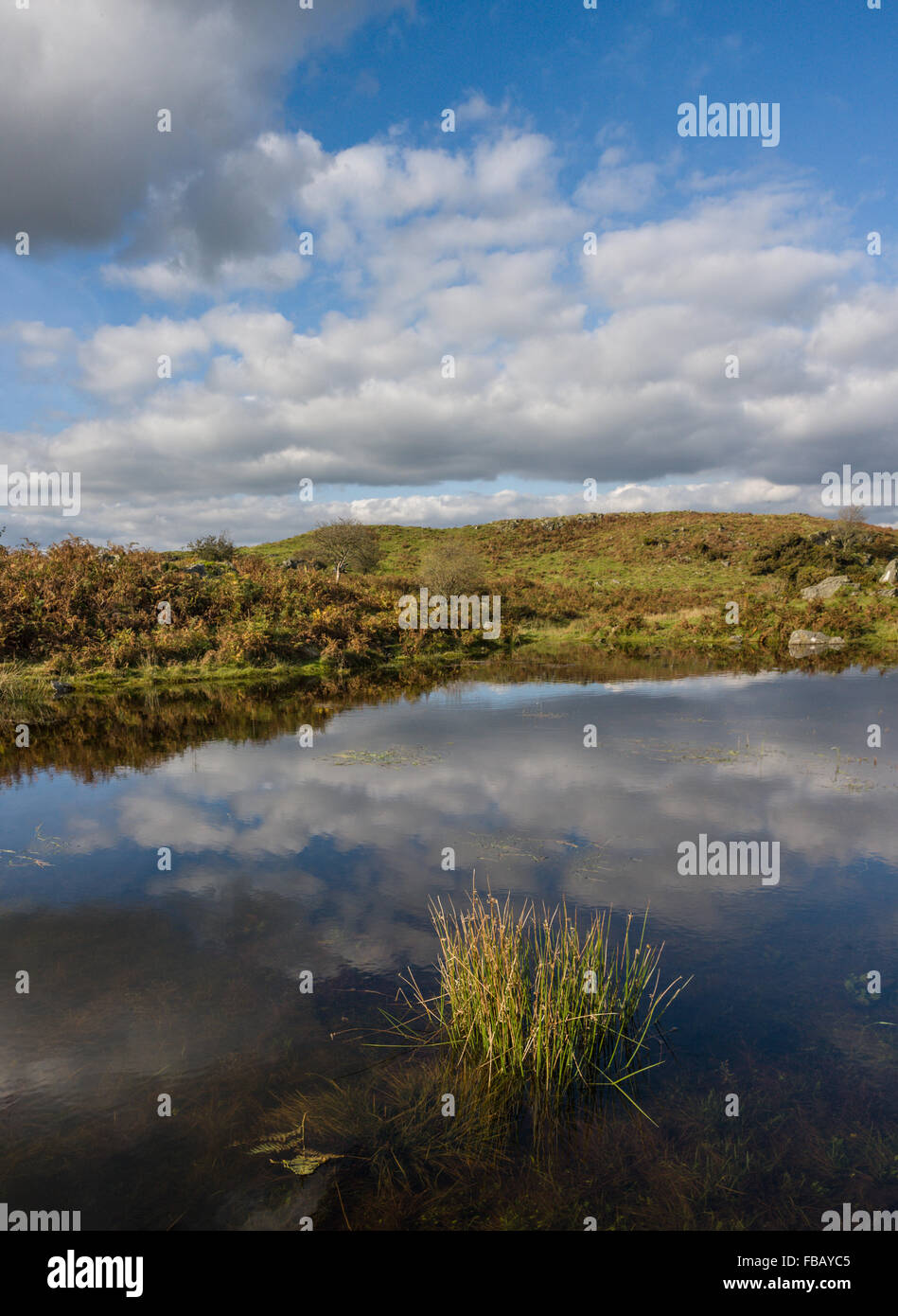 Small lakeland tarn hi-res stock photography and images - Alamy