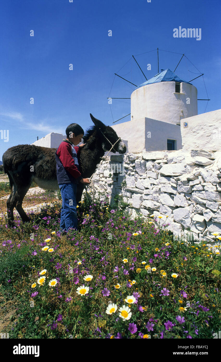Boy with donkey, Windmill, Sifnos, Cyclades, Greece Stock Photo - Alamy
