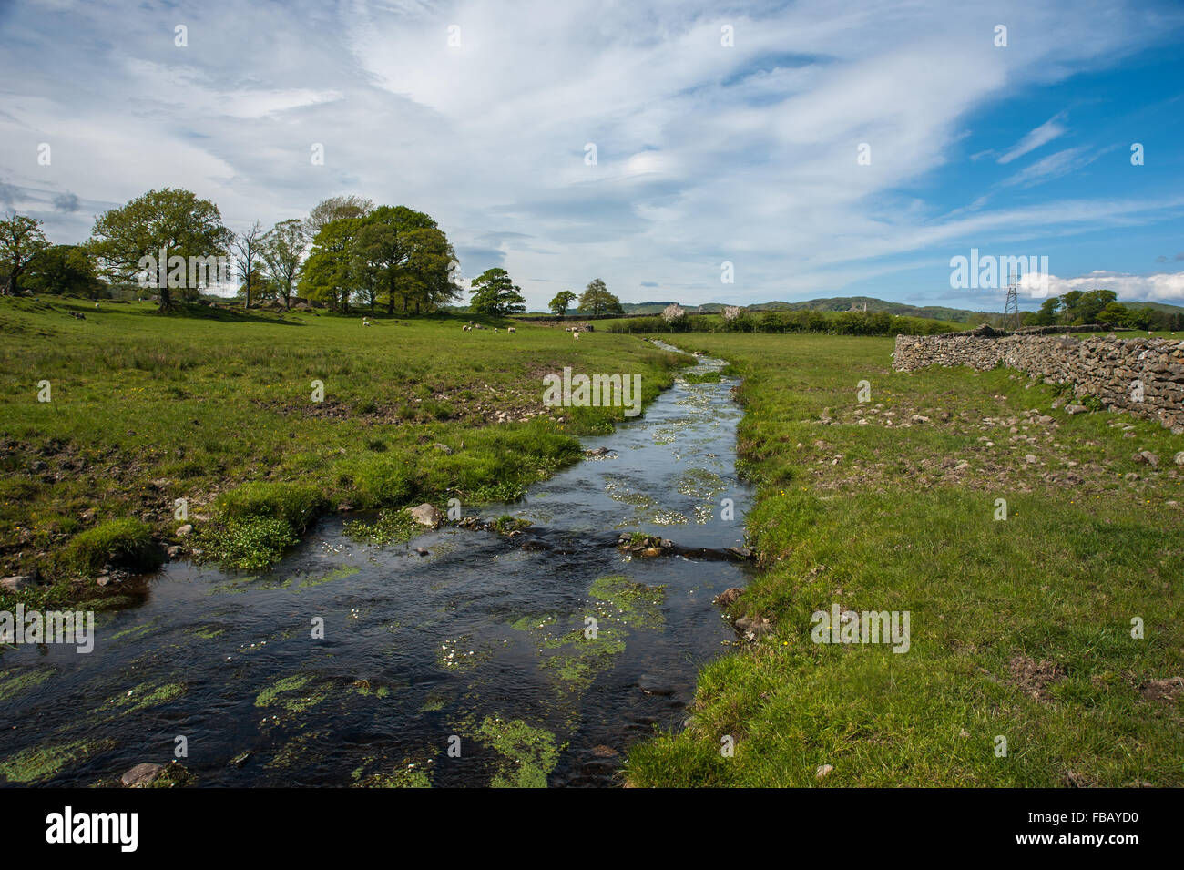 Muddy Pool High Resolution Stock Photography and Images - Alamy