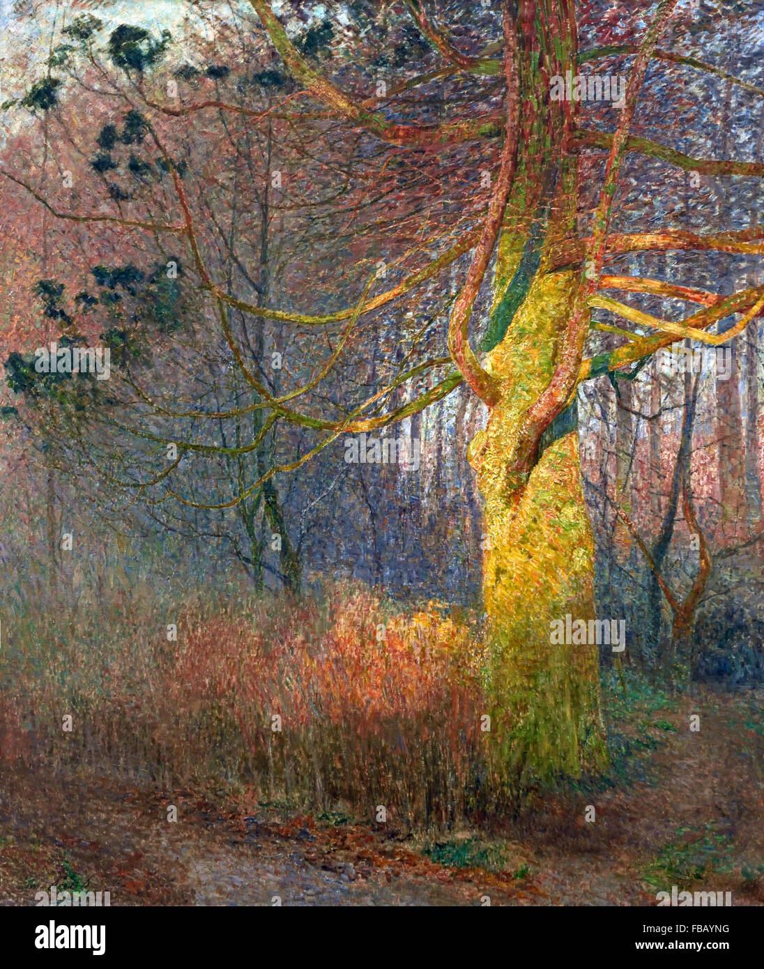 Emile claus hi-res stock photography and images - Alamy