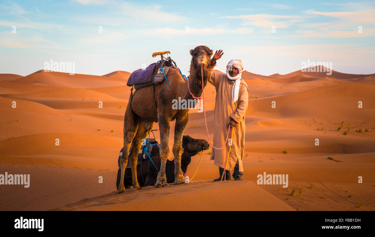 The camel guide Stock Photo - Alamy