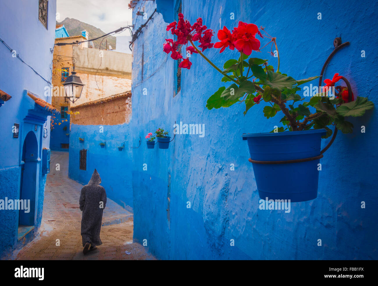 Chefchaouen flower pot Stock Photo - Alamy