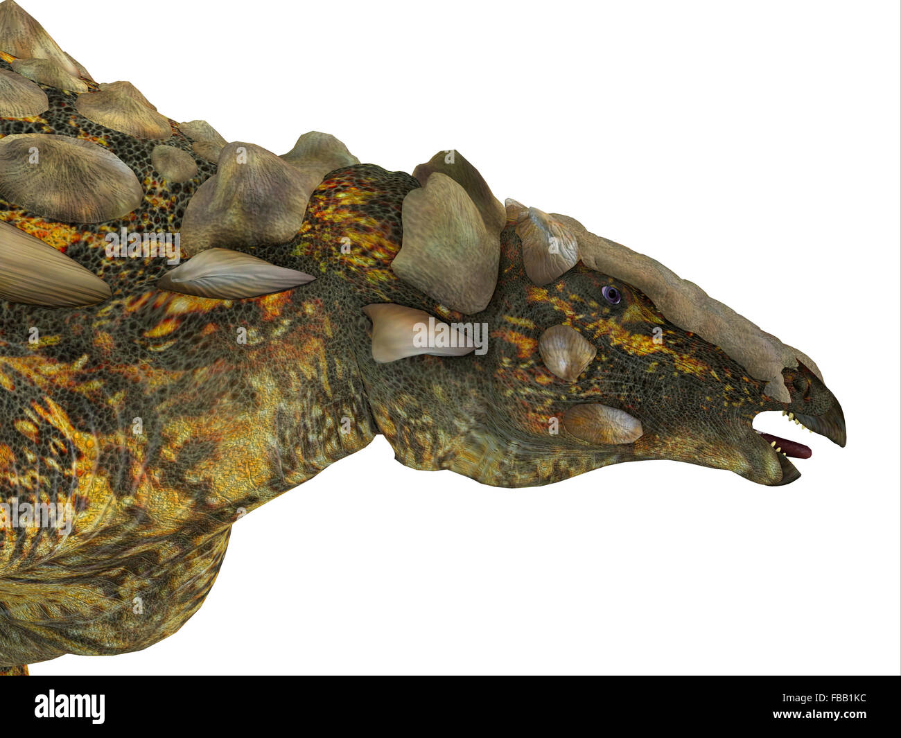 Gargoyleosaurus hi-res stock photography and images - Alamy