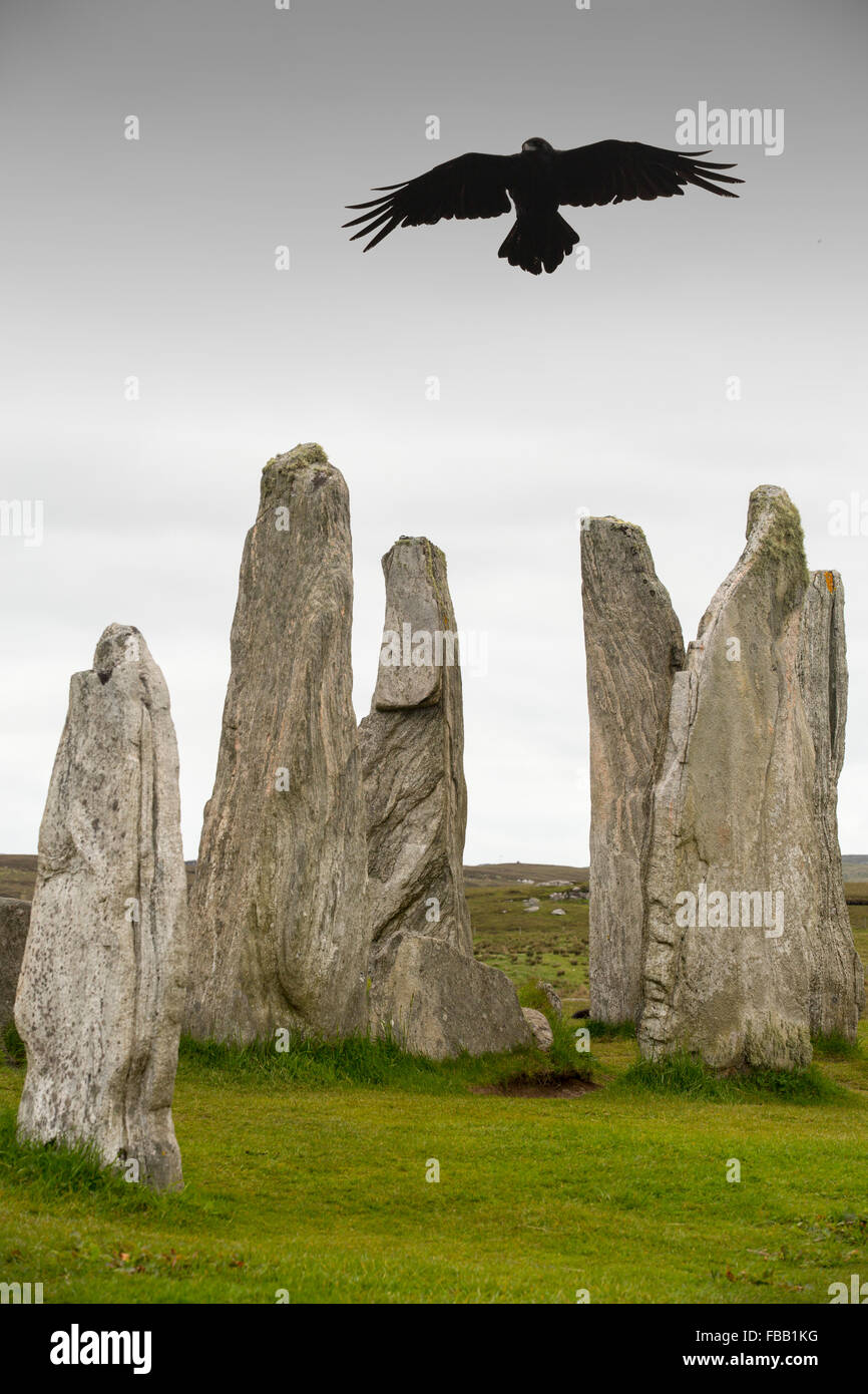 Raven over stonehenge hi-res stock photography and images - Alamy
