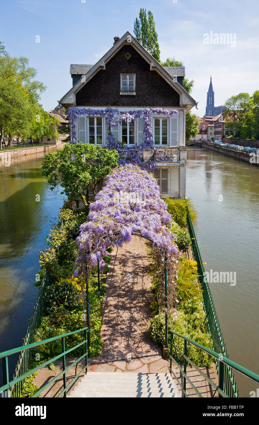 Water canals on Grand Ile island in center of Strasbourg city, Alsace ...