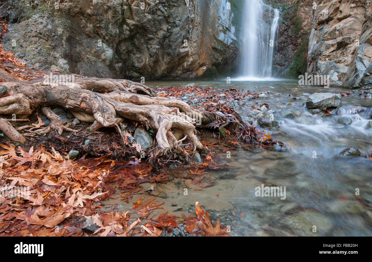 Waterfall splashing on a small lake with beautiful yellow leaves and ...