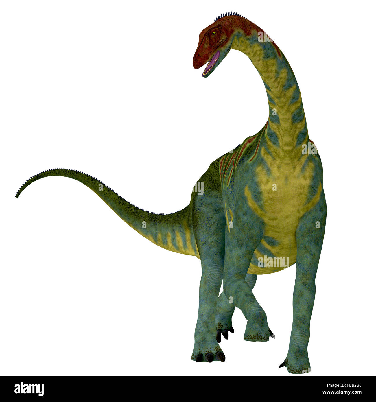 Jobaria was a herbivorous sauropod dinosaur that lived in the Jurassic ...