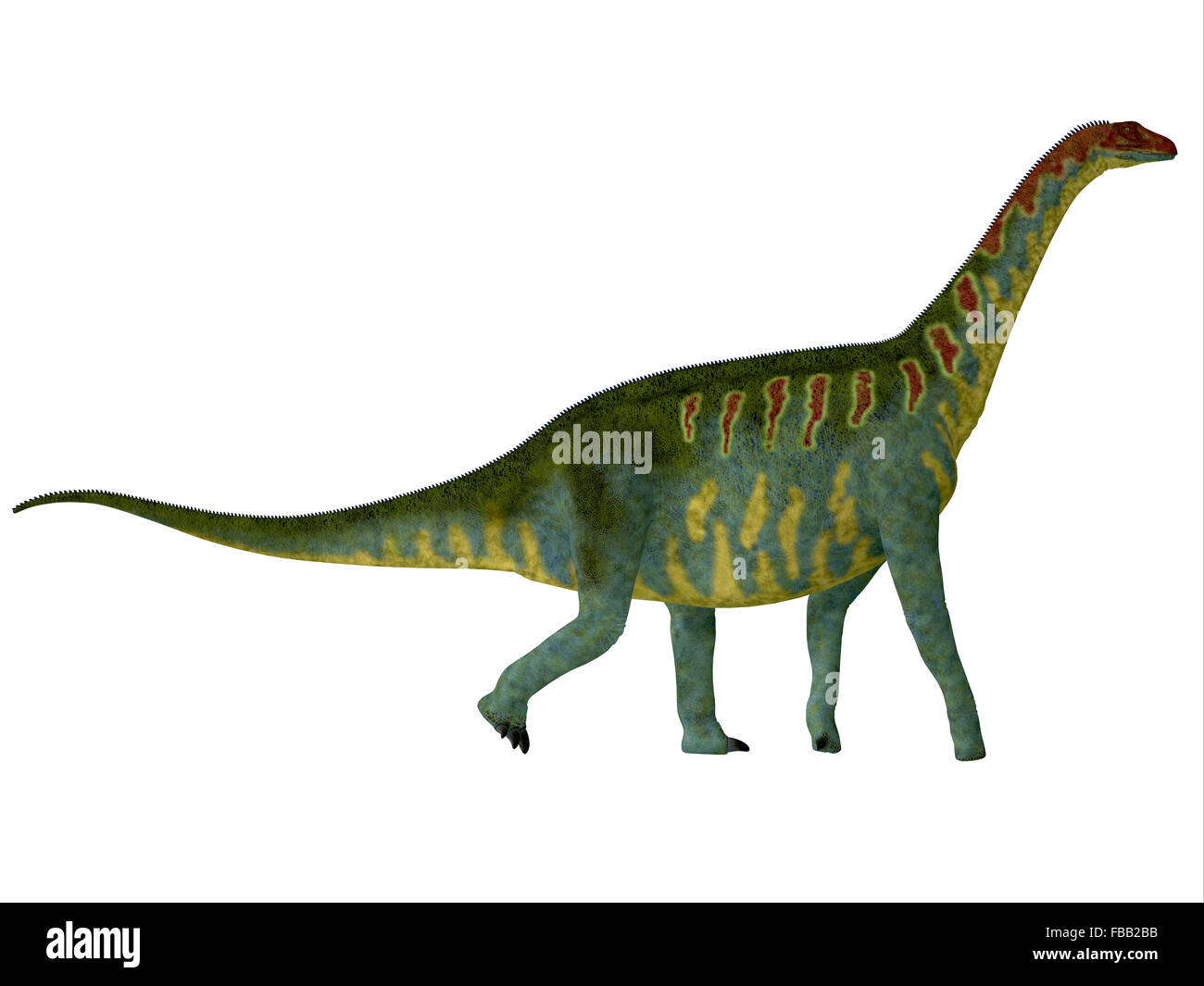 Jobaria was a herbivorous sauropod dinosaur that lived in the Jurassic ...