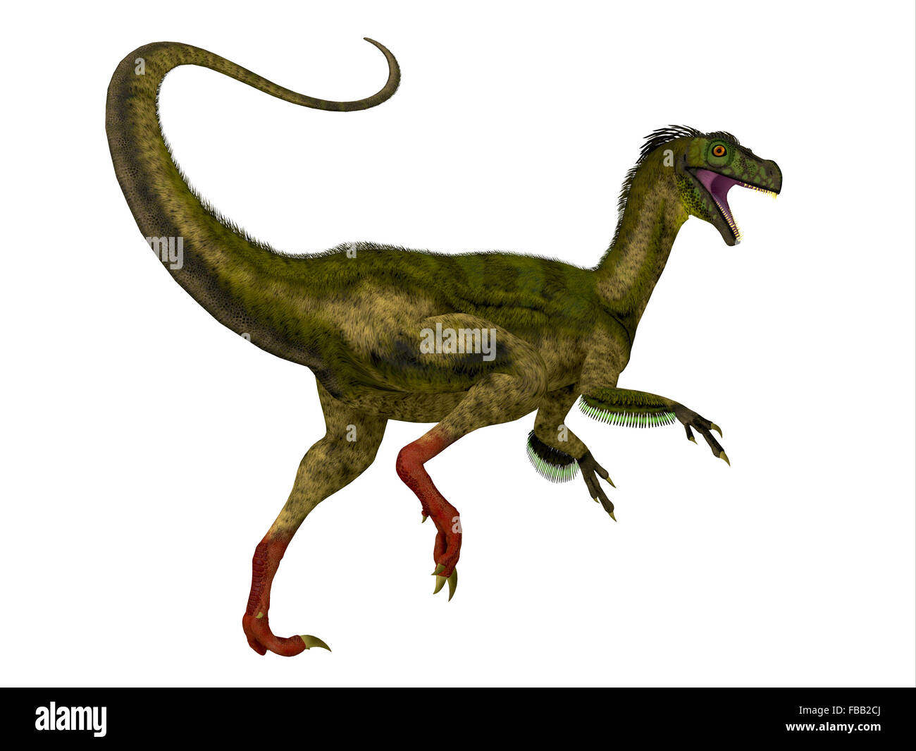 Ornitholestes Primeval