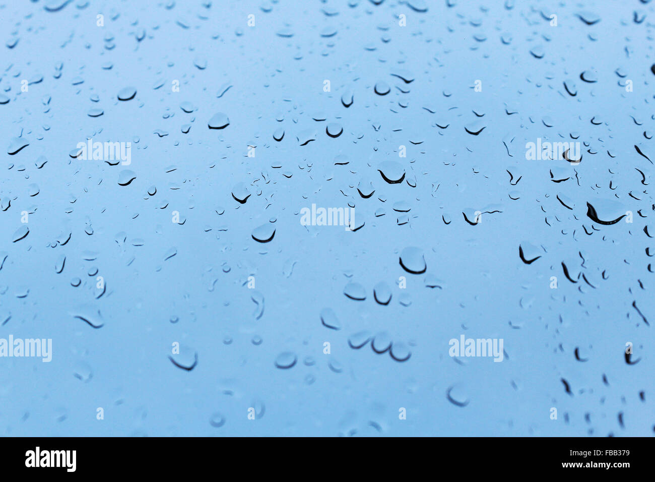 water drops macro - water droplets on glass Stock Photo - Alamy