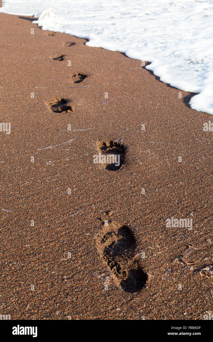 Trail of foot steps on the beach Stock Photo - Alamy